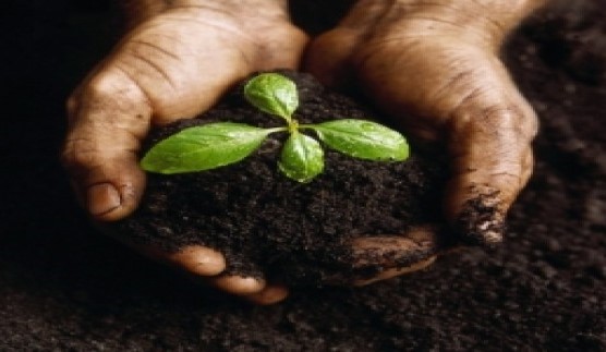 Good Ground | Living in The Spirit