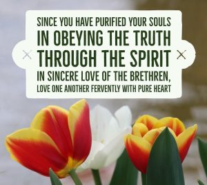 PURIFIED SOULS | Living in The Spirit